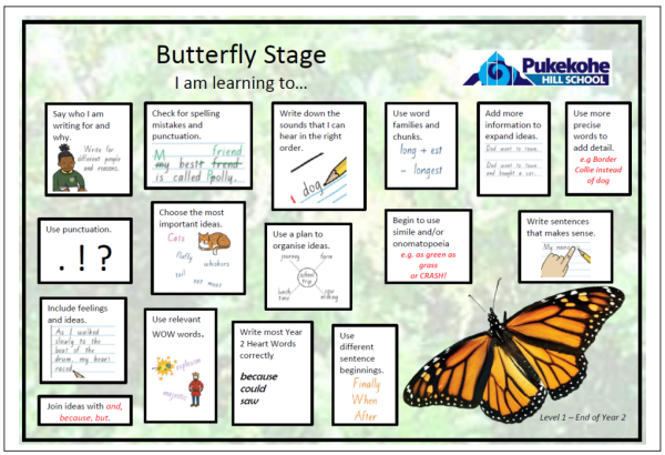 Writing Progressions - Pukekohe Hill School